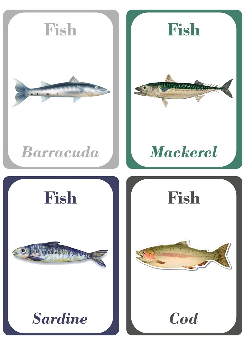 Educational Fish Flash Cards for Kids Fun Learning Tool 20 Unique ...