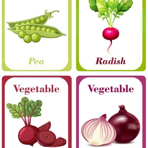Vegetable Cards | Flash Cards for Kids | Educational and Fun Learning ...