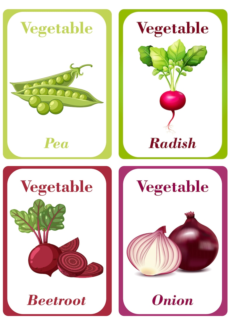 Vegetable Cards Flash Cards for Kids Educational and Fun Learning Tool ...