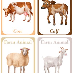 Farm Animals Flash Cards for Kids | Digital Download PDF & JPG ...