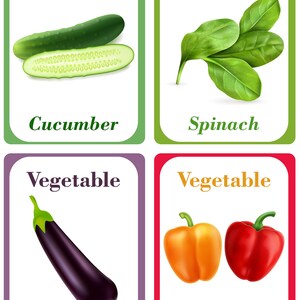Vegetable Cards | Flash Cards for Kids | Educational and Fun Learning ...