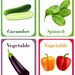 Vegetable Cards Flash Cards for Kids Educational and Fun Learning Tool ...