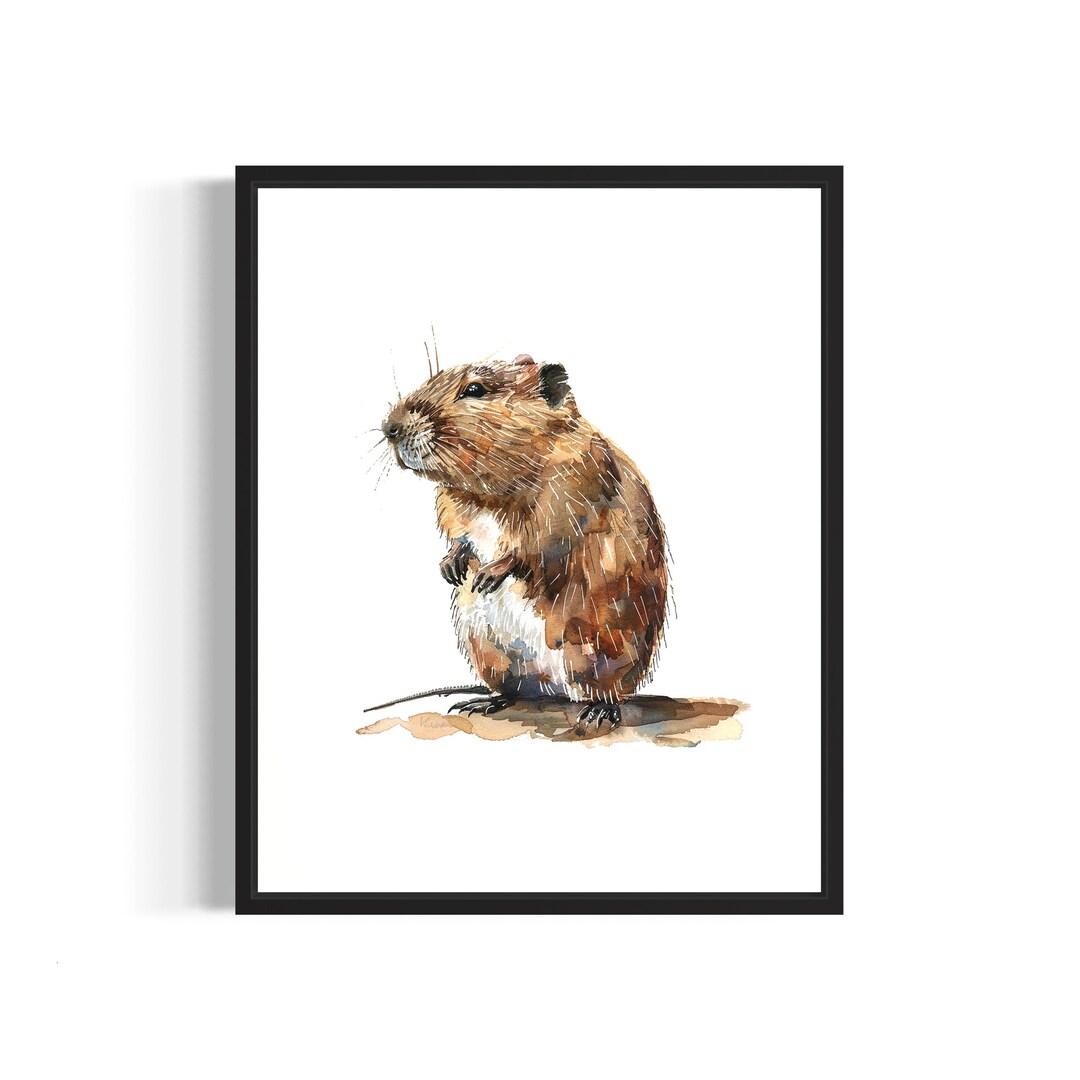 Muskrat Watercolor Art Print Poster, Animal Painting Wall Art Decor - Etsy