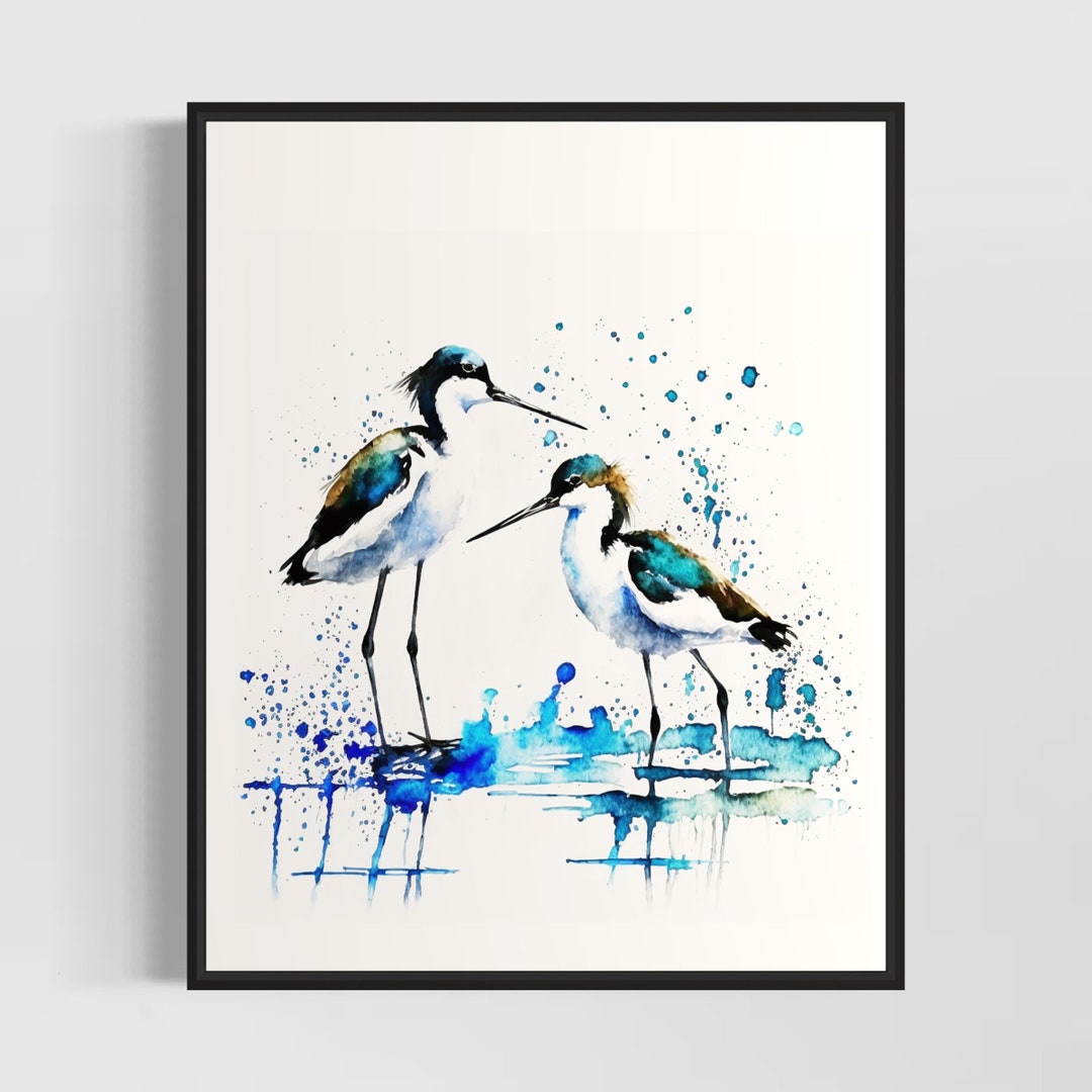 Avocets Bird Watercolor Art Print Avocets Painting Wall Art - Etsy