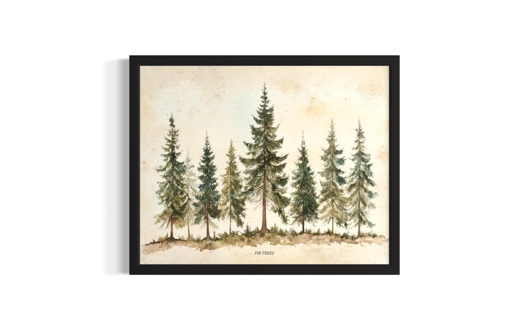 Fir Trees Poster Art Print, Living Room Wall Art Poster, Original ...