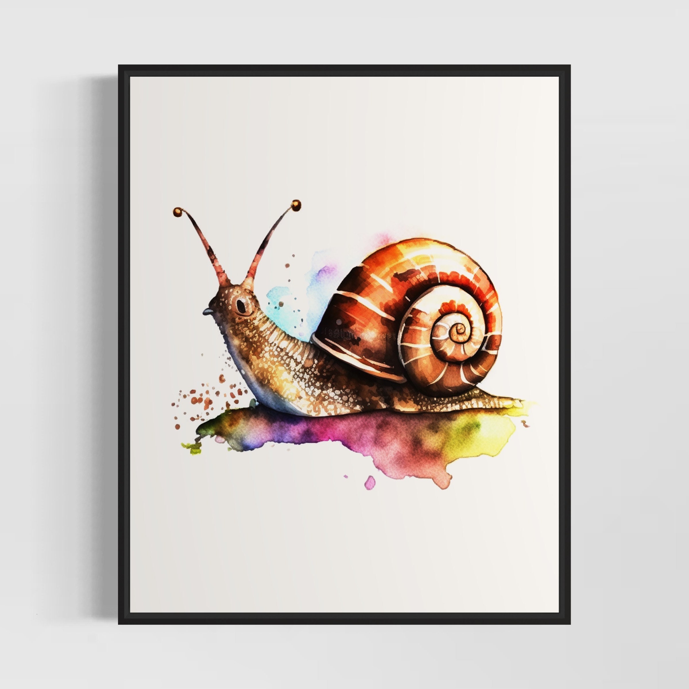 Abstract Images Of Snails And Tails