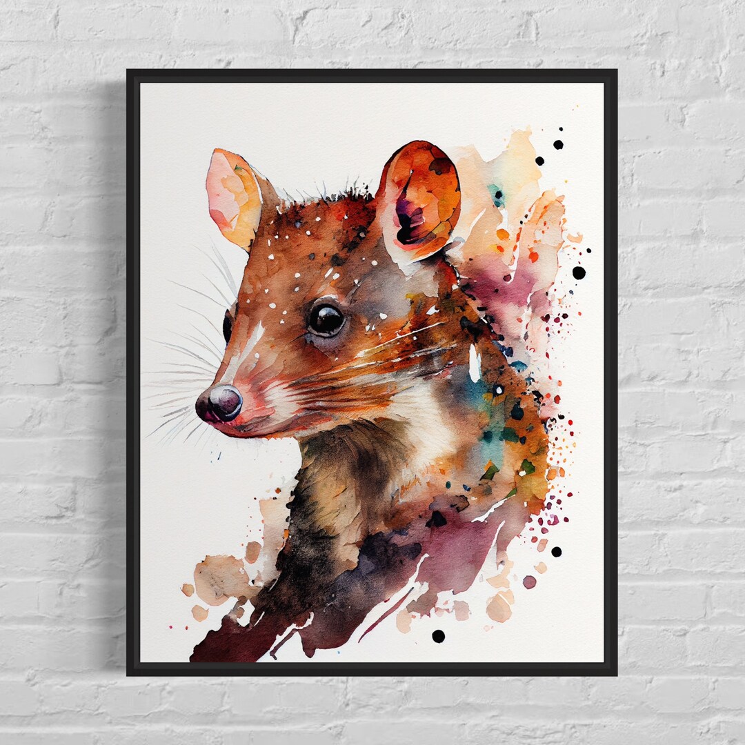Quoll Watercolor Art Print, Quoll Painting Watercolor, Quoll Original ...