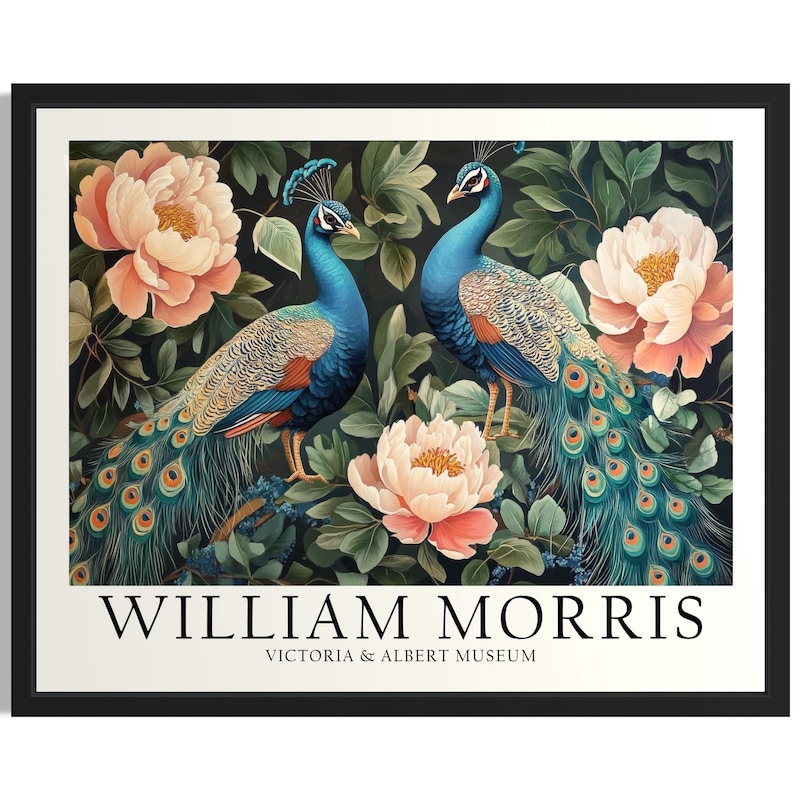 Bird Posters Art - Etsy UK