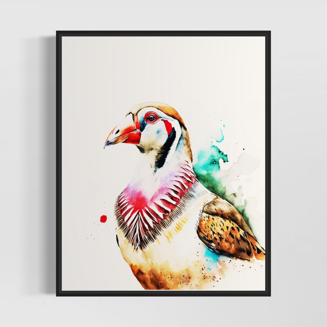 Chukar Watercolor Art Print, Chukar Painting Wall Art Decor, Original ...