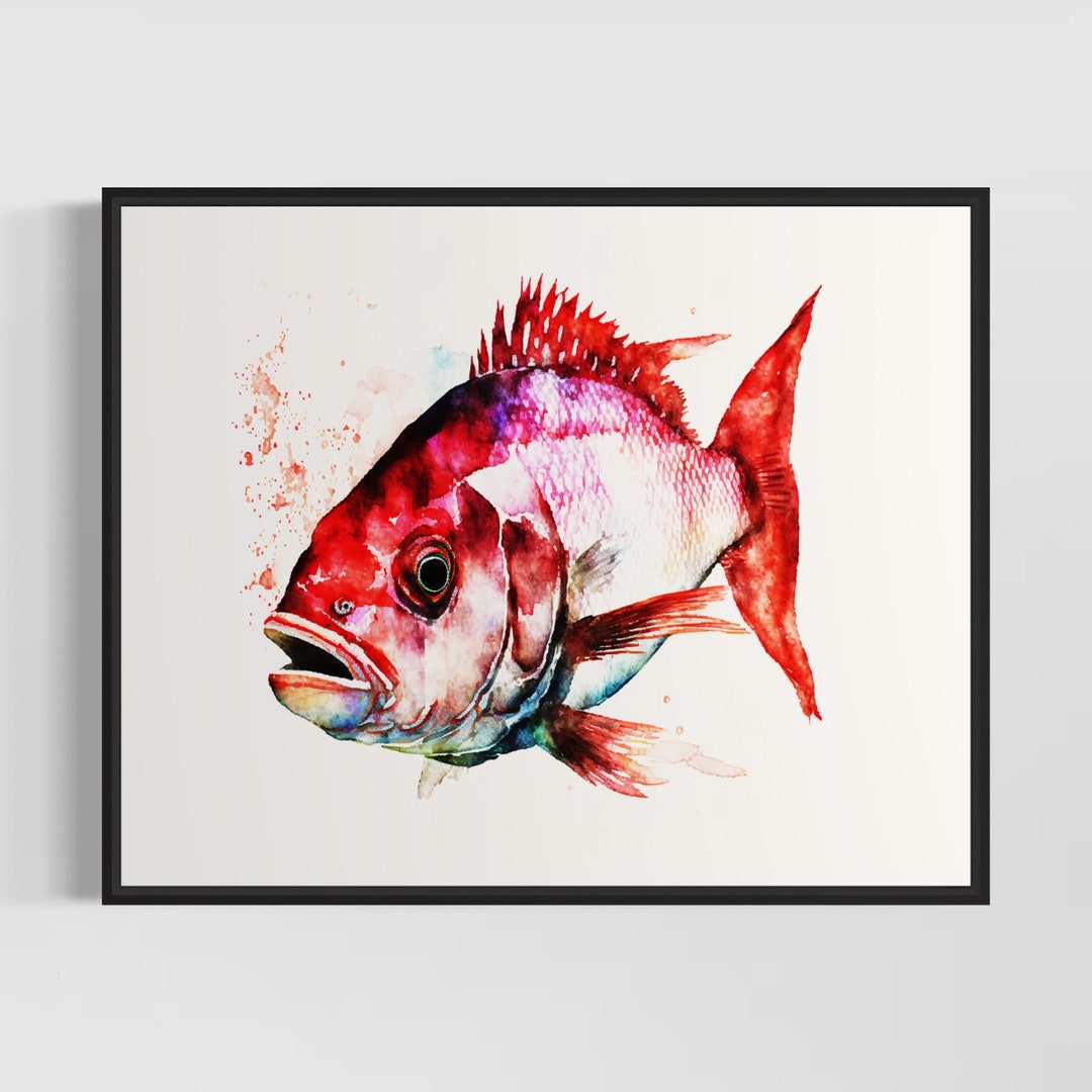 Red Snapper Art Print, Red Snapper Painting Wall Art Poster, Original ...