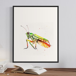 Cricket Watercolor Art Print, Cricket Painting Wall Art Decor, Original ...