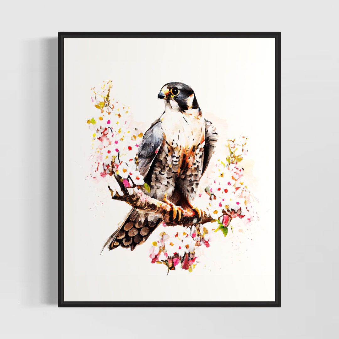 Peregrine Falcon Watercolor Art Print, Peregrine Falcon Painting Wall ...