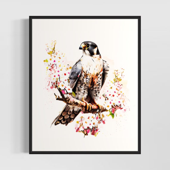 Falcon Painting NZ Native Bird Art Prints 'Falcon In Flight'