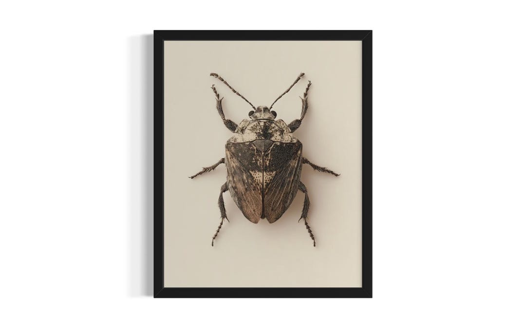 Stink Bug Insects Poster Art Print, Living Room Wall Art Poster ...