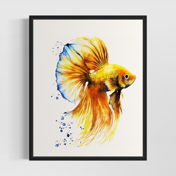 Betta Fish Art - Etsy