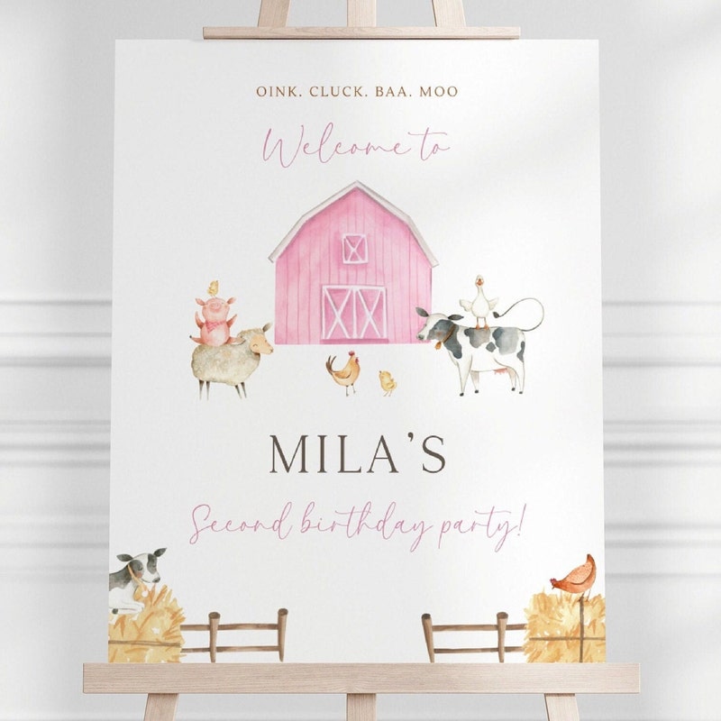 Pink Birthday Decor - Etsy