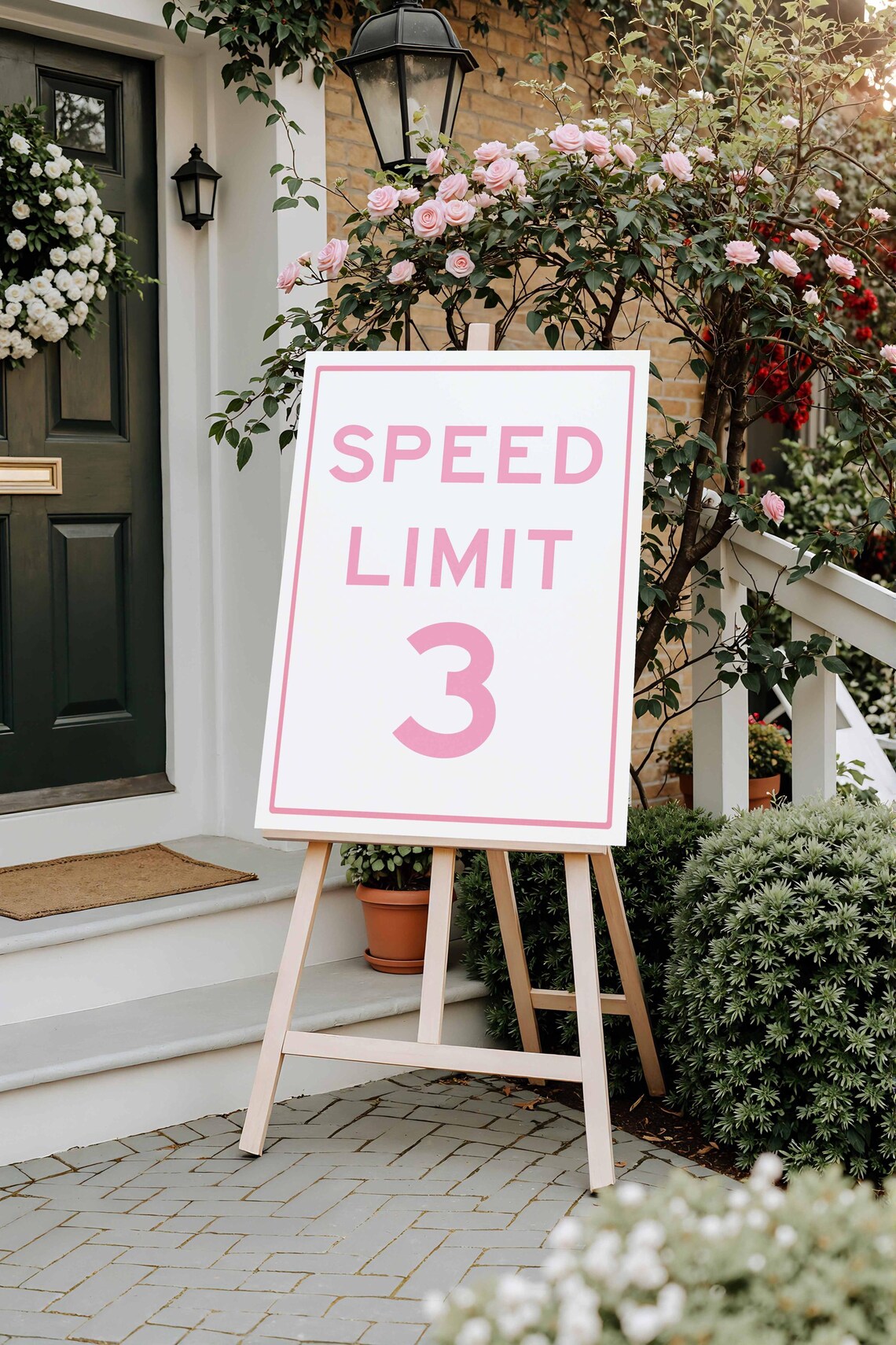 Editable Pink Speed Limit 3 Sign, Girl Race Car Birthday Party Sign ...