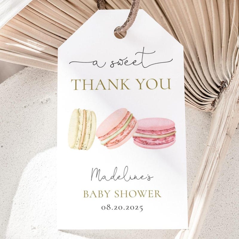Macaroons - Etsy