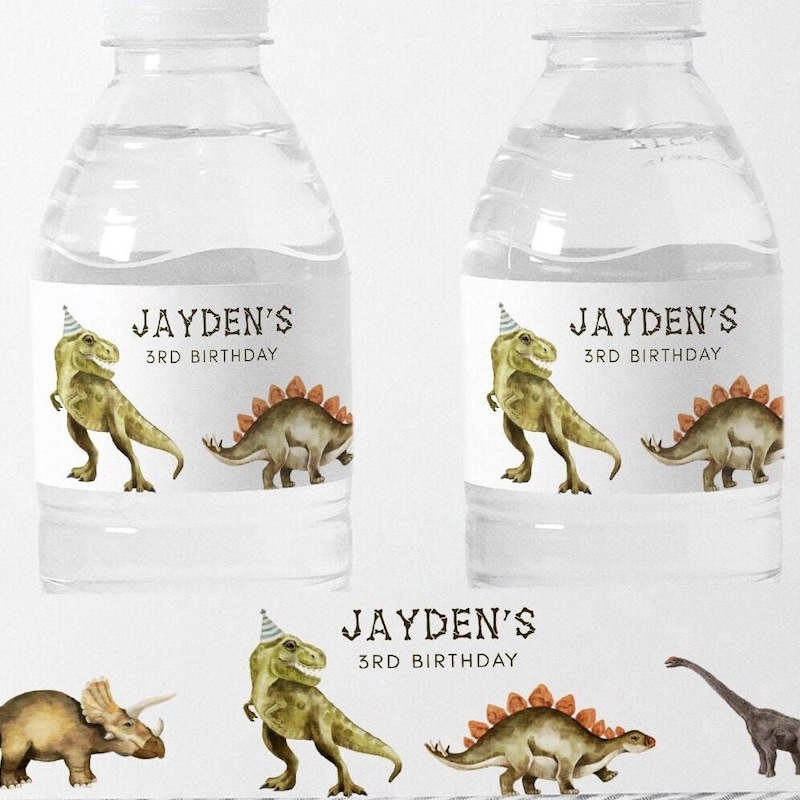 Dinosaur Water Bottle - Etsy