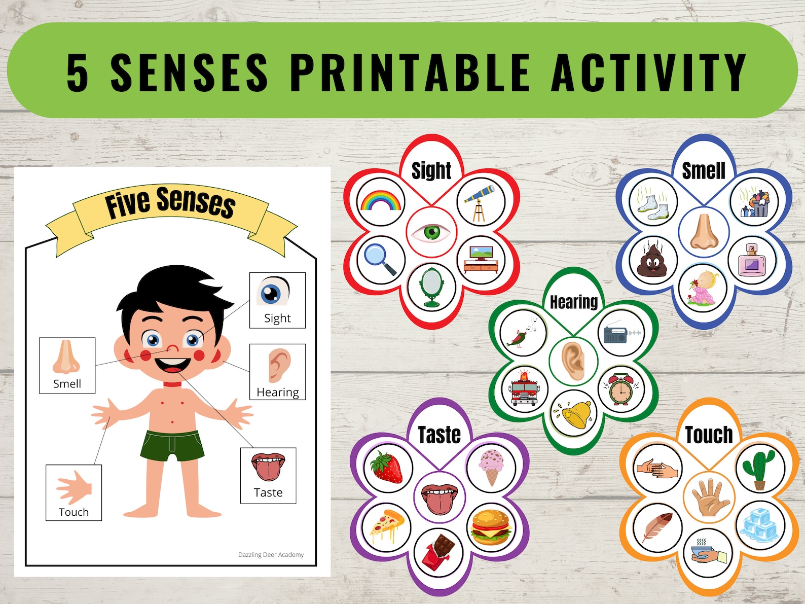 Five Senses Sorting Activity & Matching Game, 5 Senses Busy Book ...