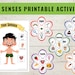 Five Senses Sorting Activity & Matching Game, 5 Senses Busy Book ...