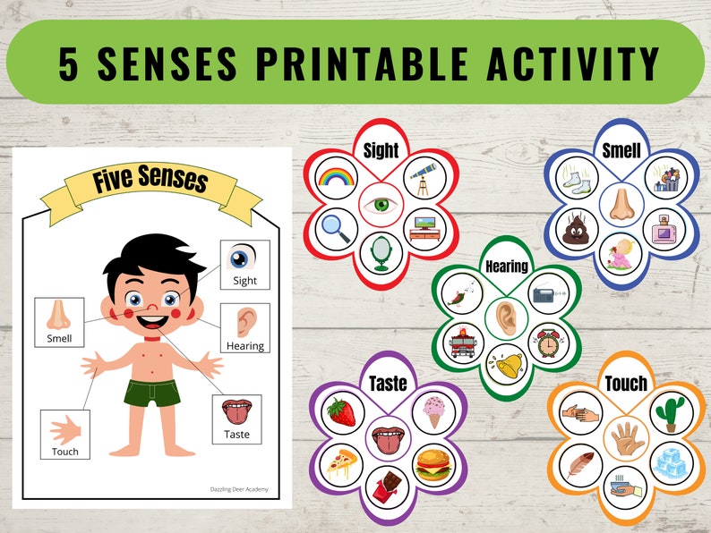 Five Senses Sorting Activity & Matching Game, 5 Senses Busy Book ...