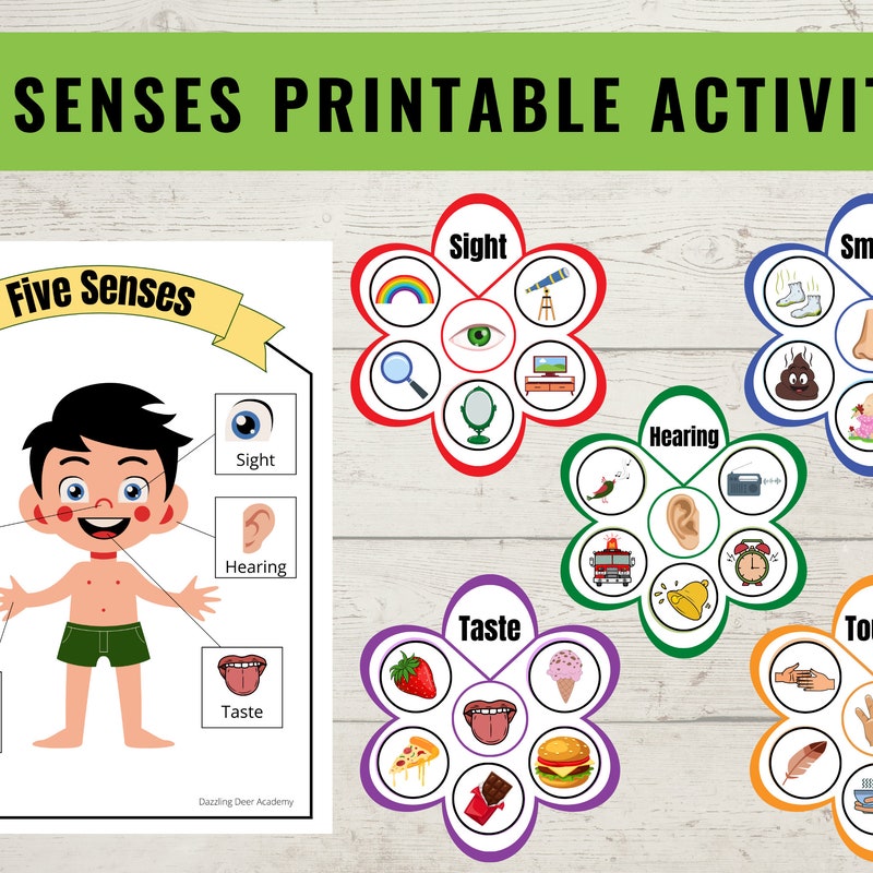 Five Senses Preschool - Etsy