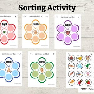 Five Senses Sorting Activity & Matching Game, 5 Senses Busy Book ...