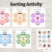 Five Senses Sorting Activity & Matching Game, 5 Senses Busy Book ...