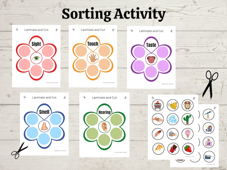 Five Senses Sorting Activity & Matching Game, 5 Senses Busy Book ...