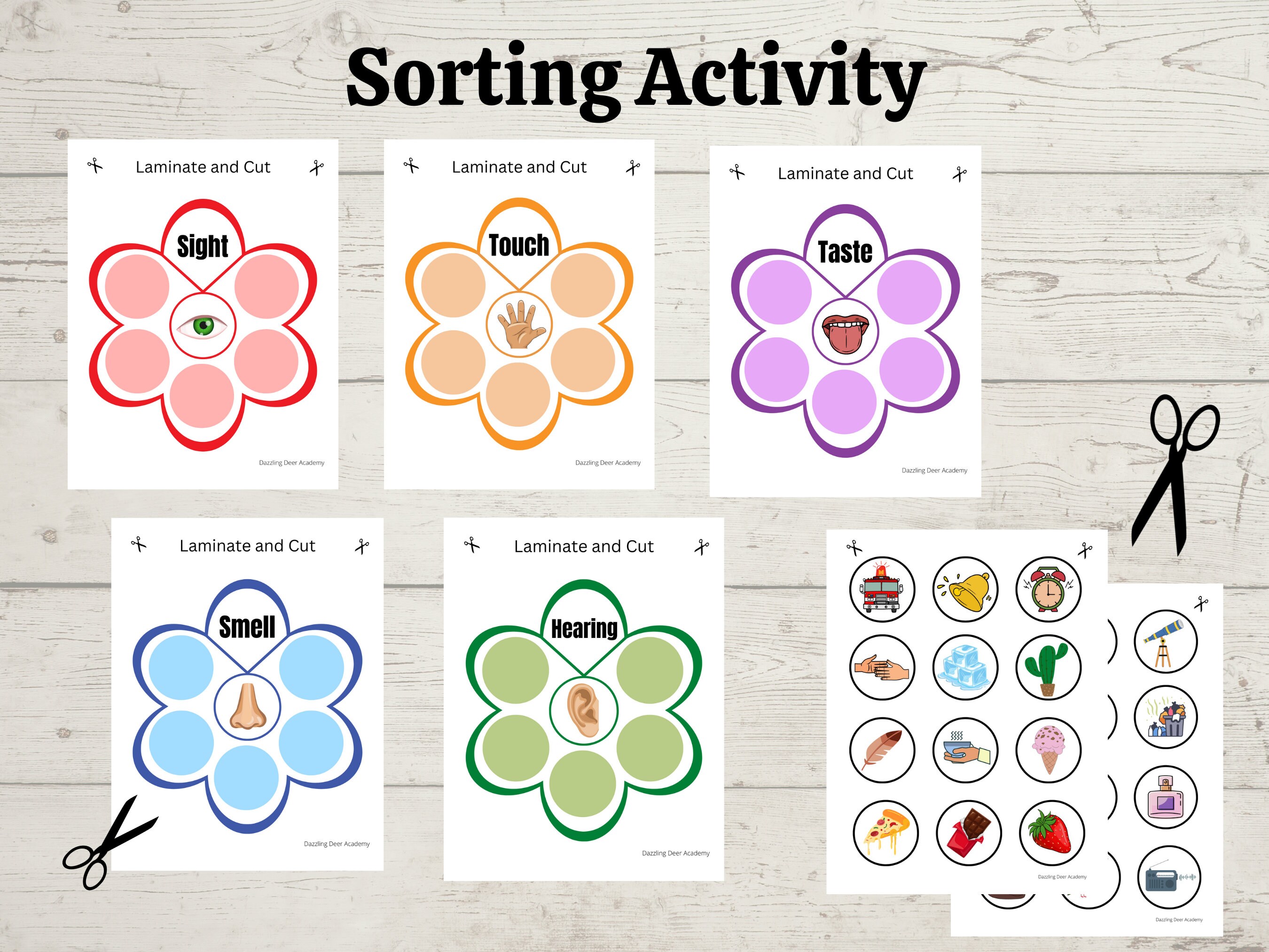 Five Senses Sorting Activity & Matching Game, 5 Senses Busy Book ...