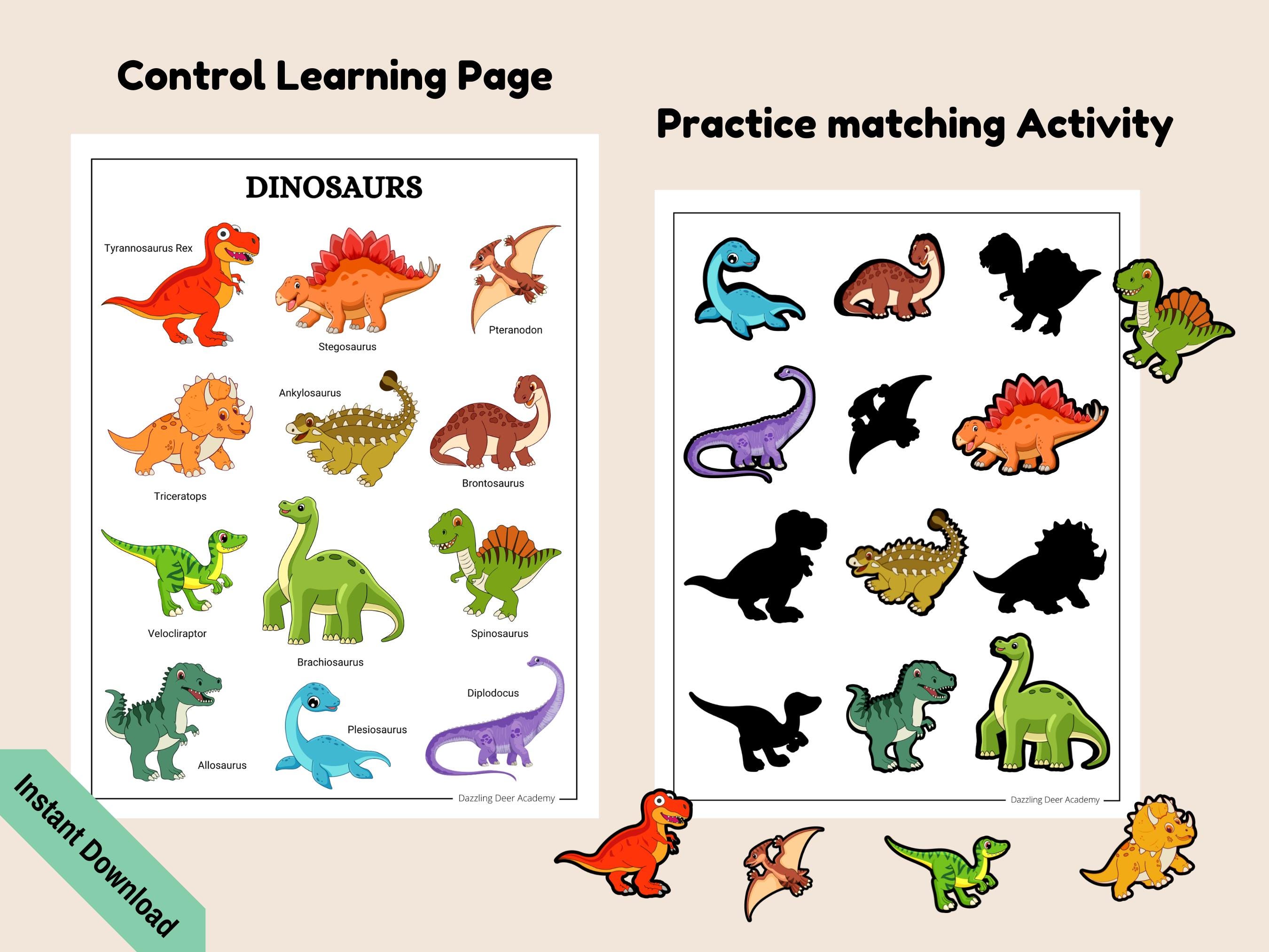 Dinosaur Activity Book for Preschool & Toddlers, Matching Activity ...