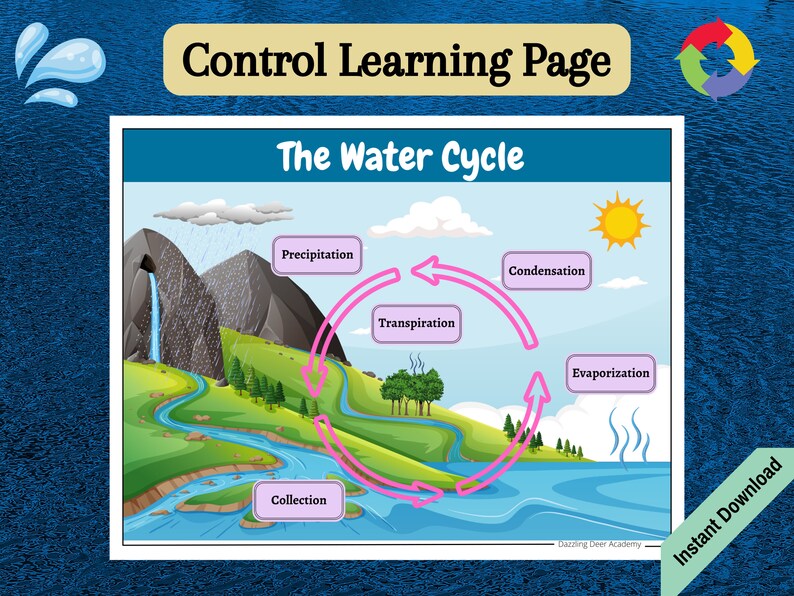 Water Cycle Kids Printable Activity, Water Cycle Unit Study, Preschool ...