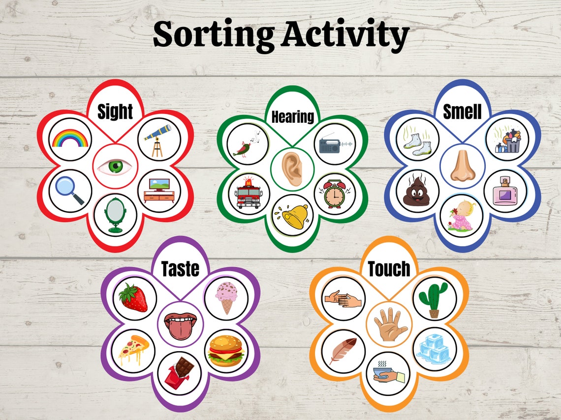 Five Senses Sorting Activity & Matching Game, 5 Senses Busy Book ...
