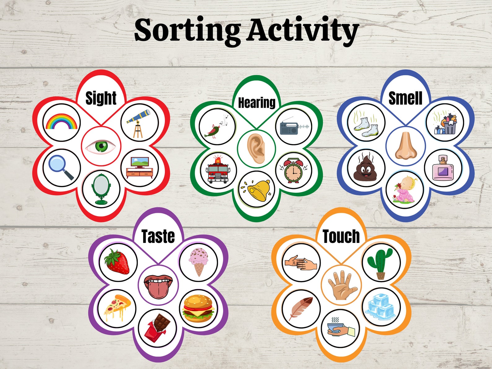 Five Senses Sorting Activity & Matching Game, 5 Senses Busy Book ...