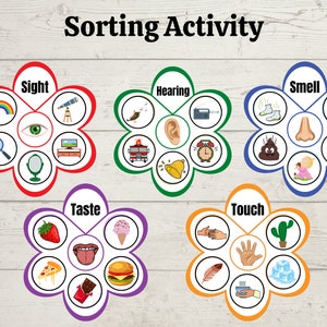 Five Senses Sorting Activity & Matching Game, 5 Senses Busy Book ...