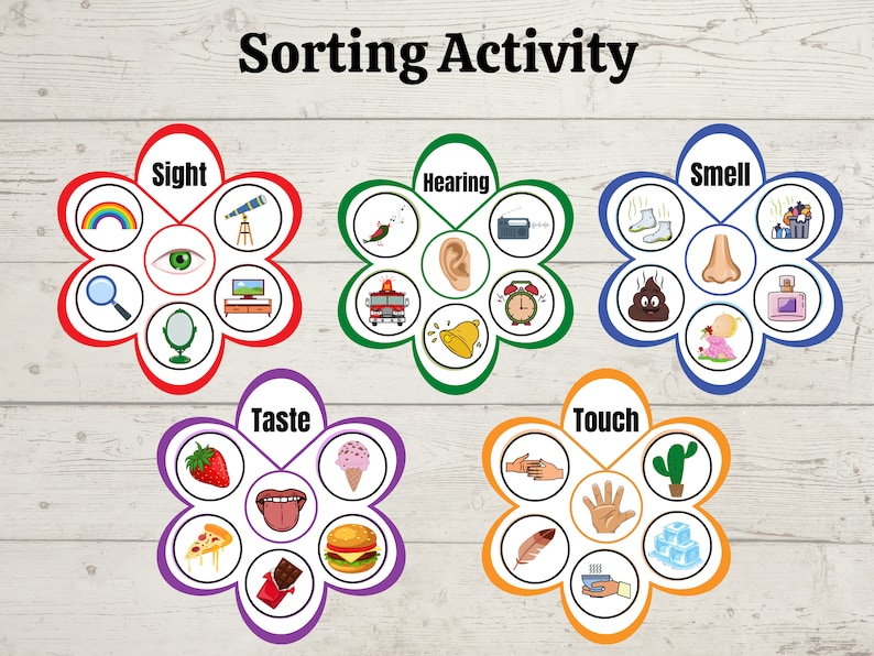 Five Senses Sorting Activity & Matching Game, 5 Senses Busy Book ...