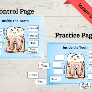 Dental Health Printable Activity for Kids, Preschool Busy Book ...