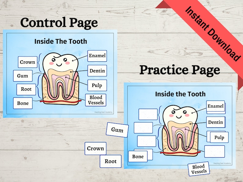 Dental Health Printable Activity for Kids, Preschool Busy Book ...