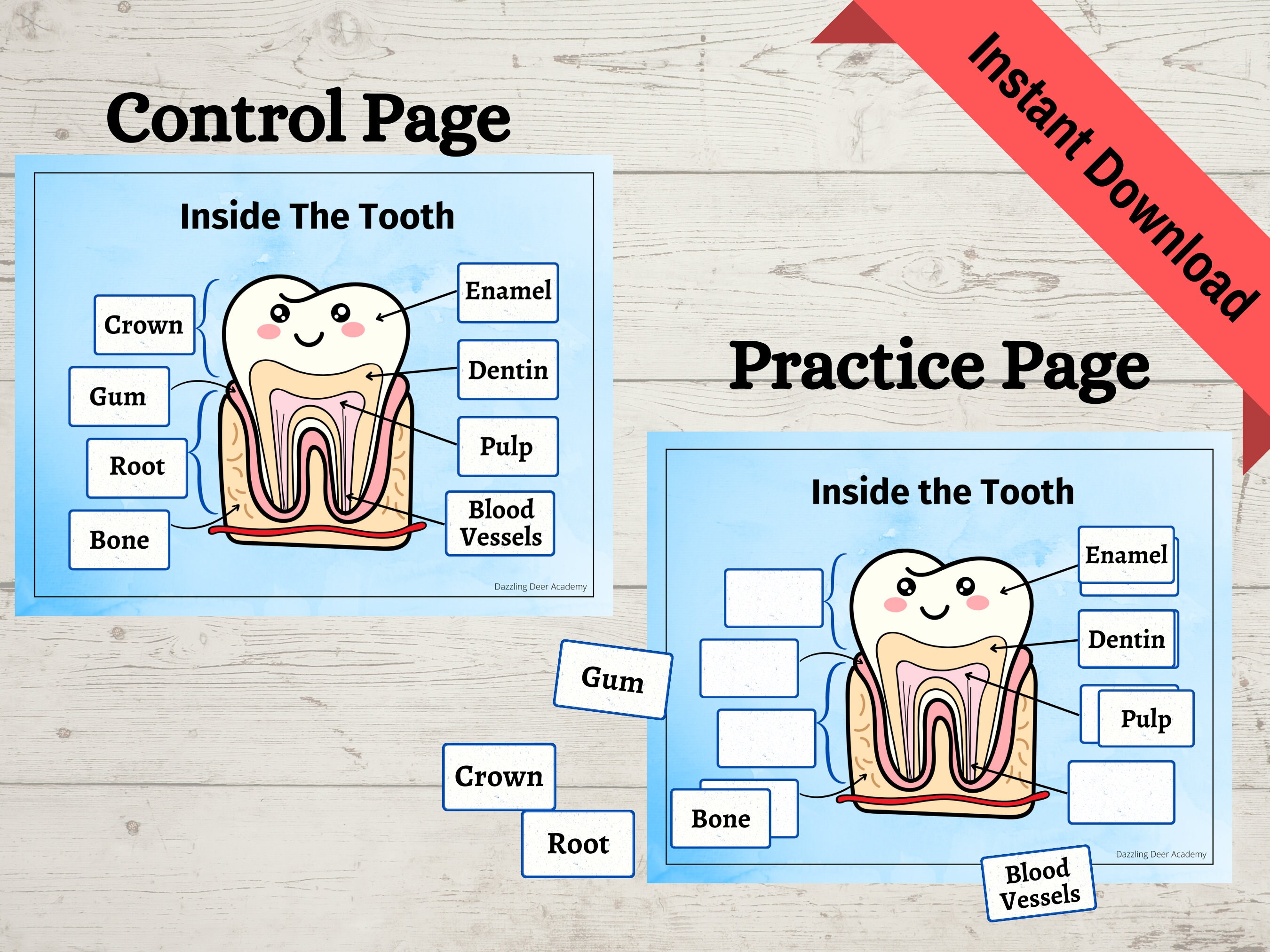 Dental Health Printable Activity for Kids, Preschool Busy Book ...