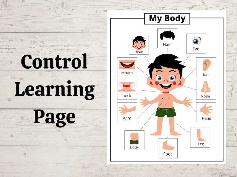 Body Parts Printable Activity for Kids, Human Body Printable Matching ...
