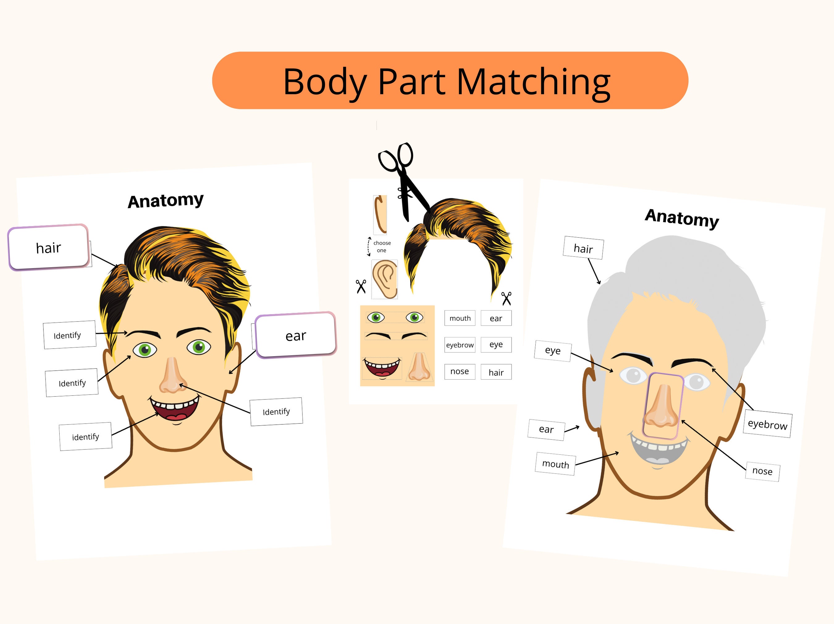 Body Parts Matching Activity, Organs, Body Systems, 5 Senses, Human ...