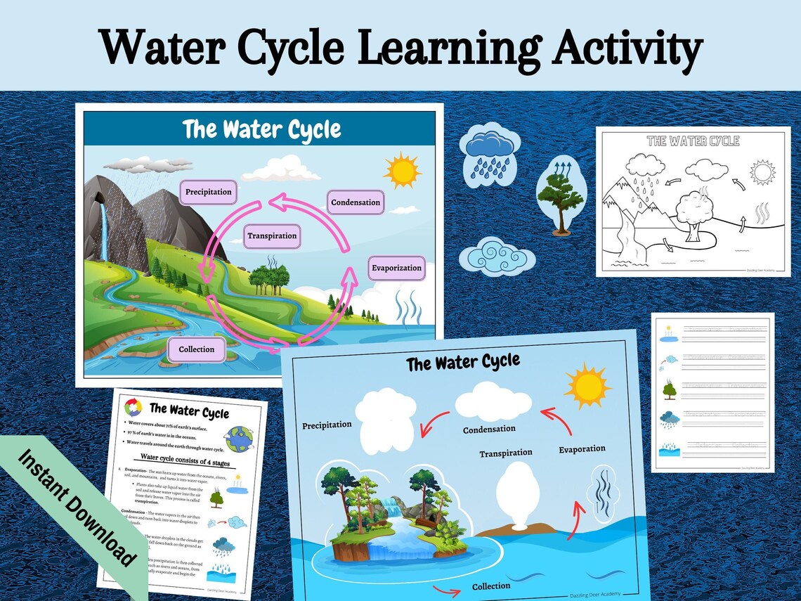 Water Cycle Kids Printable Activity, Water Cycle Unit Study, Preschool ...