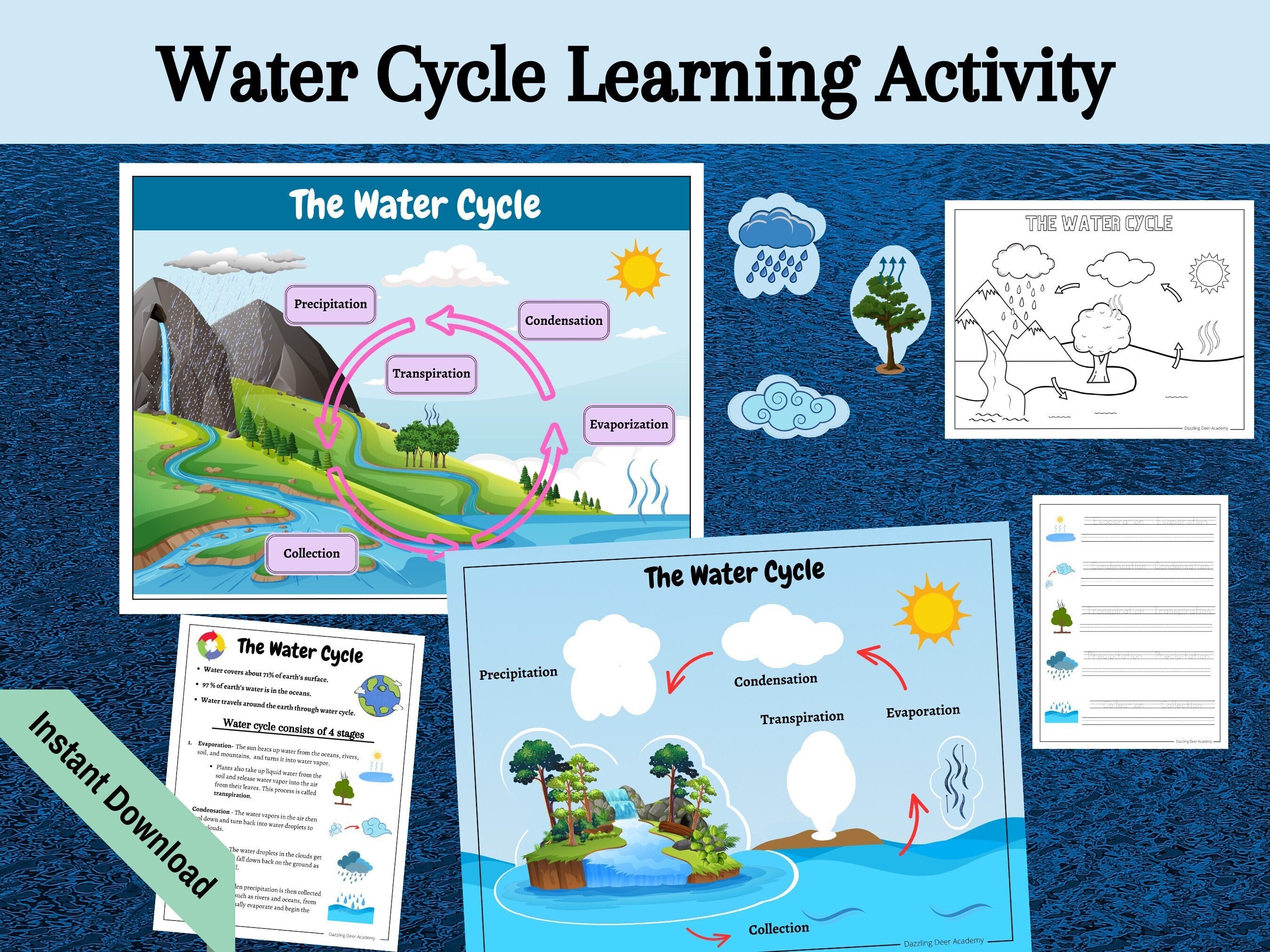 Water Cycle Kids Printable Activity, Water Cycle Unit Study, Preschool ...