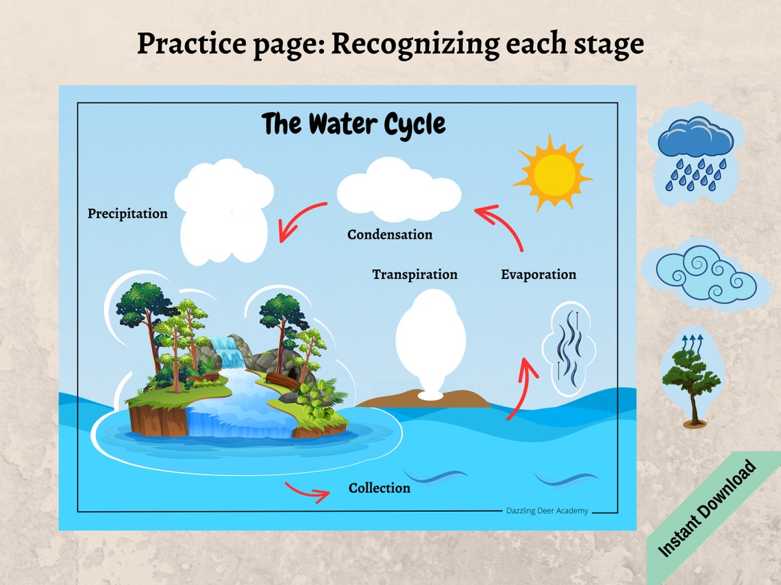 Water Cycle Kids Printable Activity, Water Cycle Unit Study, Preschool ...