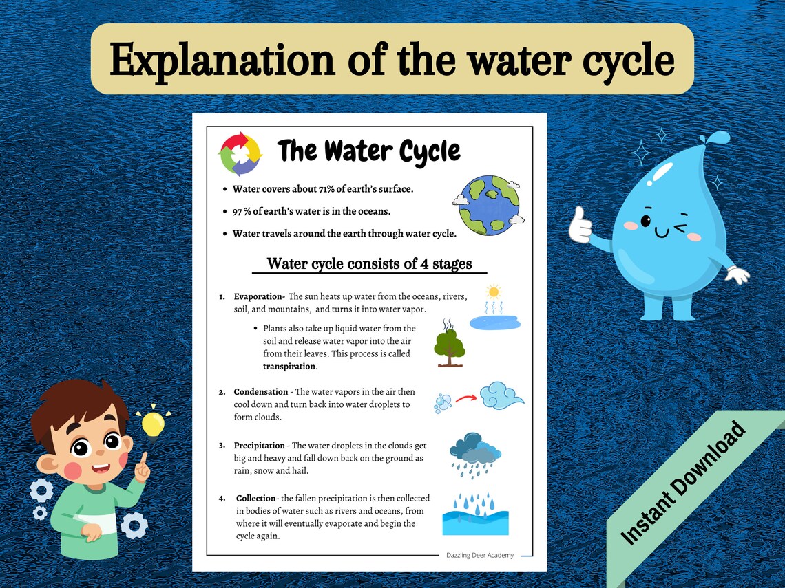 Water Cycle Kids Printable Activity, Water Cycle Unit Study, Preschool ...