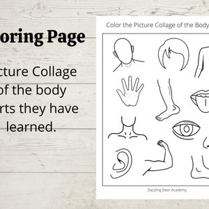 Body Parts Printable Activity for Kids, Human Body Printable Matching ...