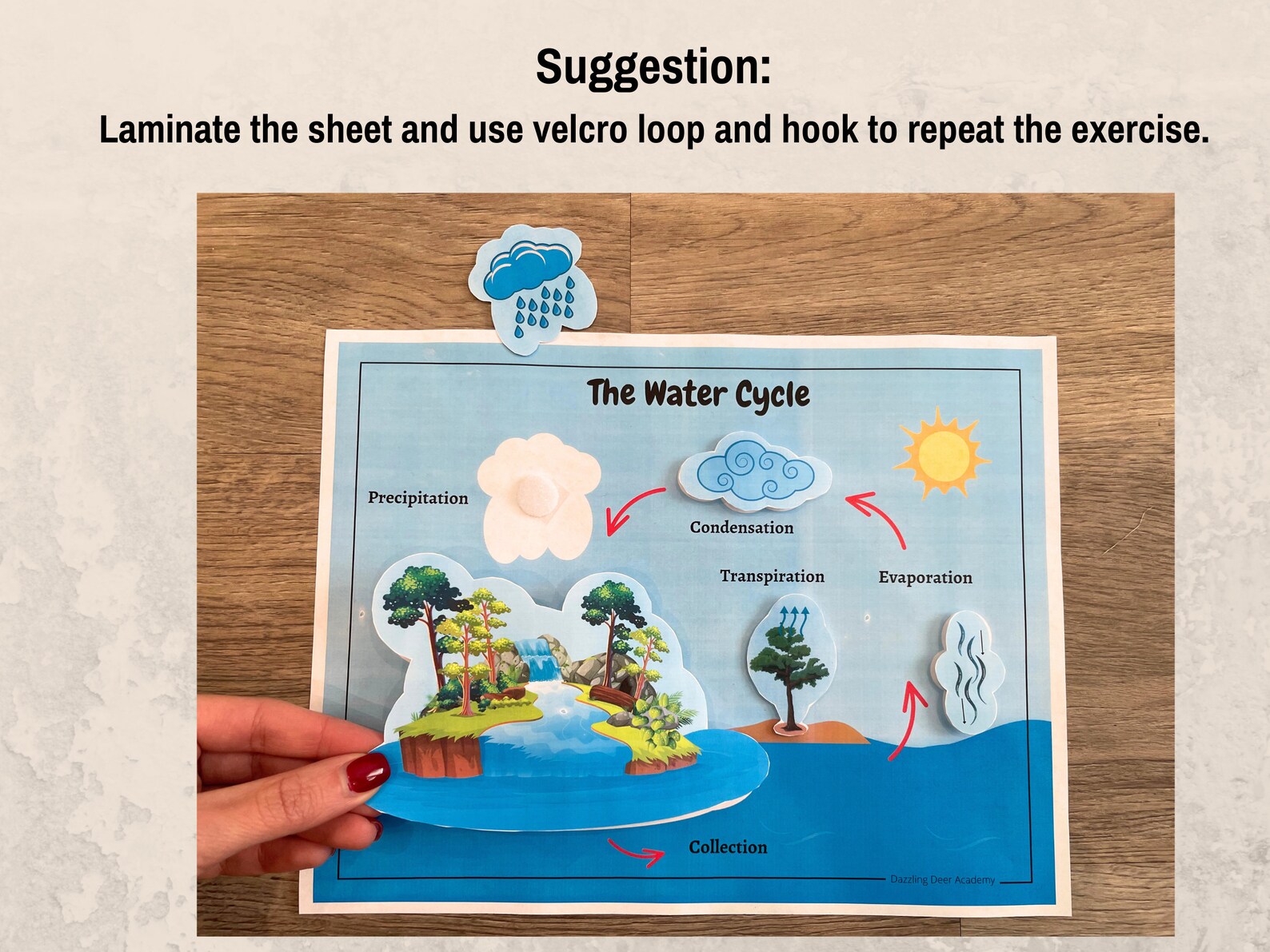 Water Cycle Kids Printable Activity, Water Cycle Unit Study, Preschool ...