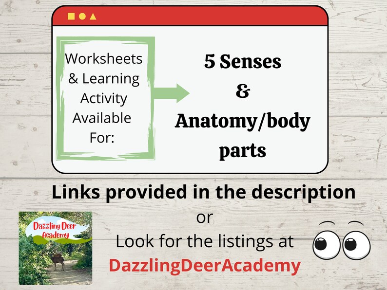 Organs & Body System Learning Activity, Human Anatomy Worksheet for ...