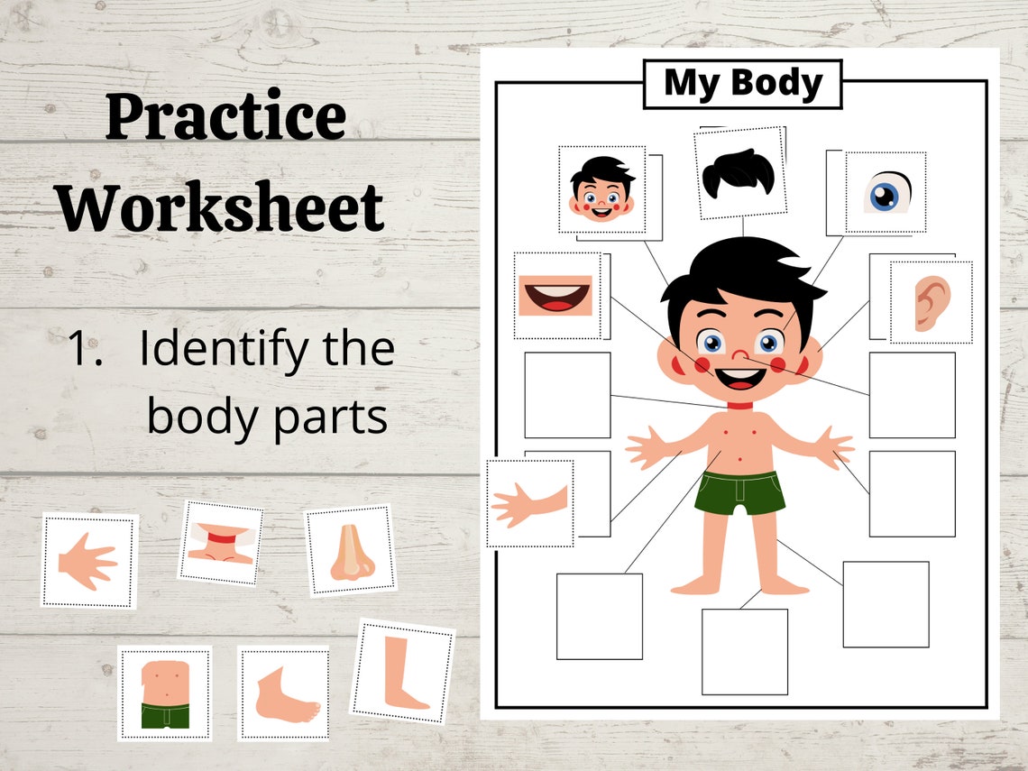 Body Parts Printable Activity for Kids, Human Body Printable Matching ...